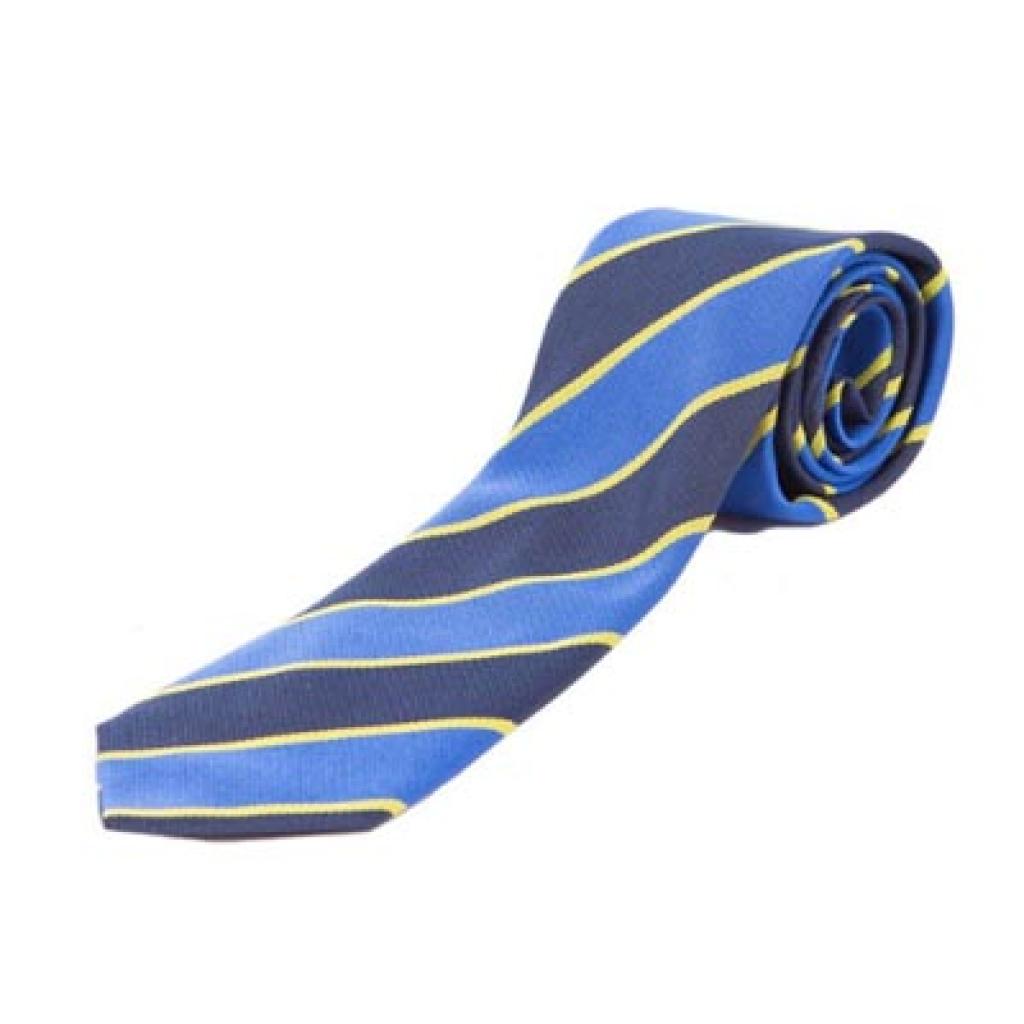 SJWMS School Tie