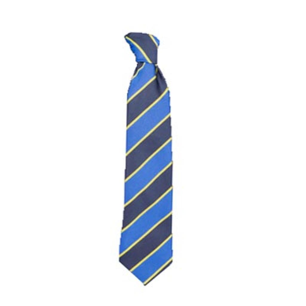 SJWMS School Tie